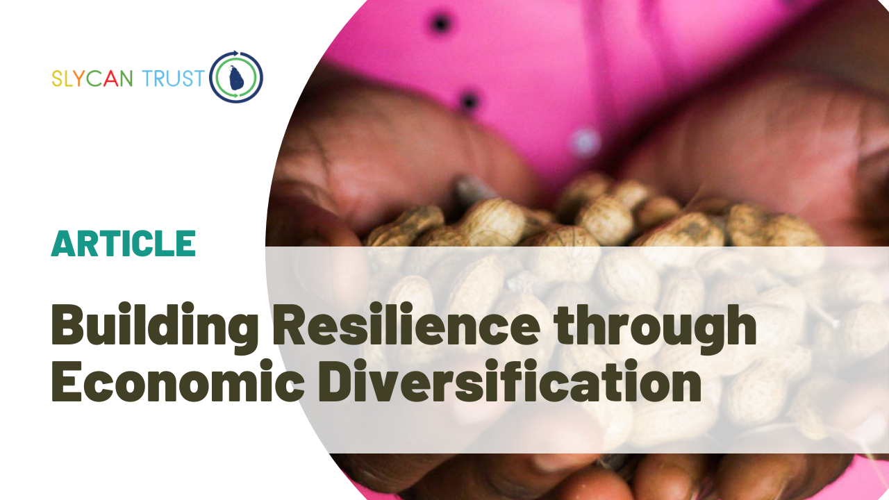 Building Resilience through Economic Diversification - Knowledge Hub